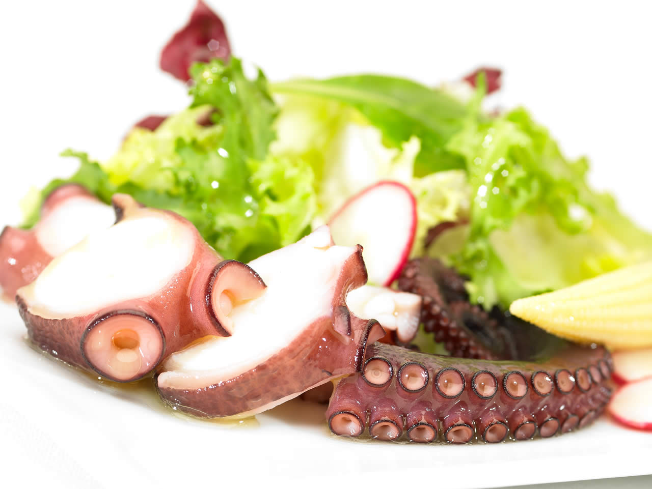 Warm octopus salad - Mariscos Gilmar